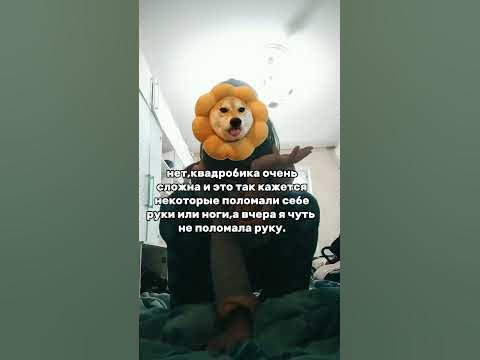 #активвернись #рекомендации #квадробика #пжактив #гоактив #кот # ...