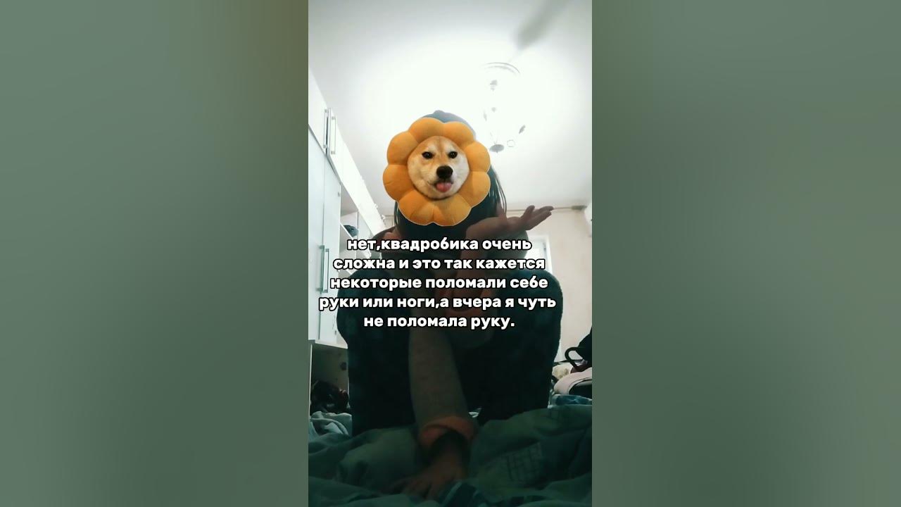 #активвернись #рекомендации #квадробика #пжактив #гоактив #кот # ...