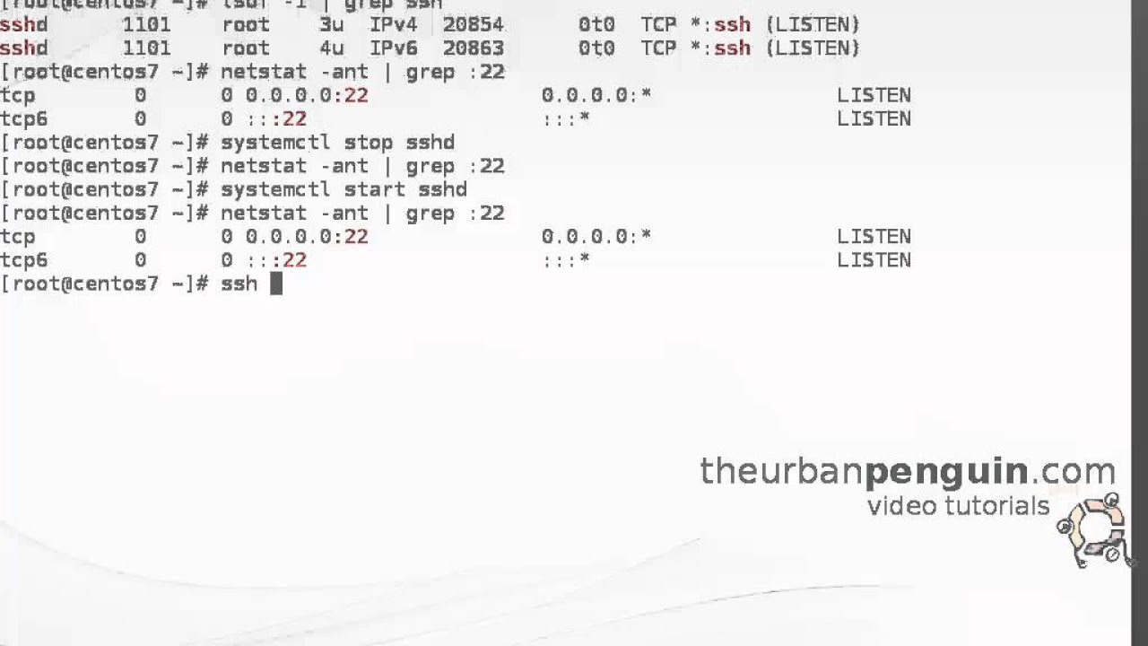 Настройка CentOS 8 SSH: включены инструкции для начинающих