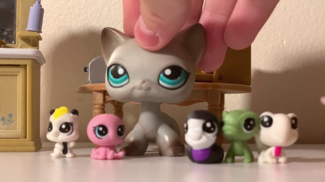 Showing My Room + Lps! - YouTube