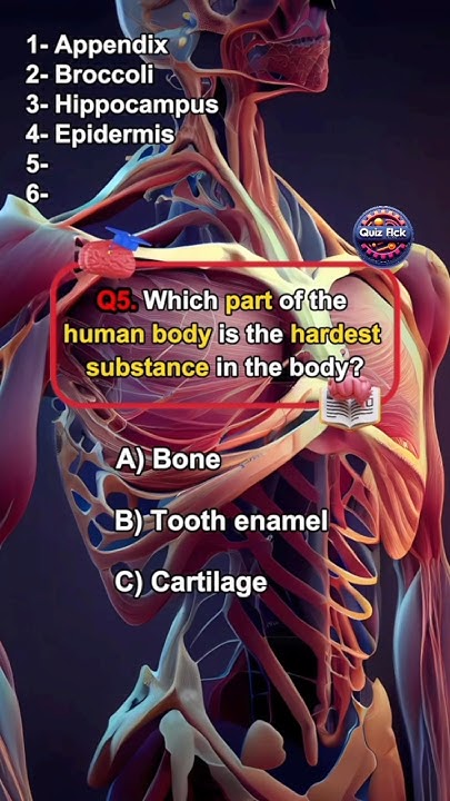 Anatomy Quiz part 127#shorts - YouTube