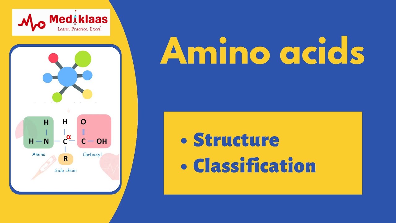 Amino acids - the building blocks of proteins - YouTube