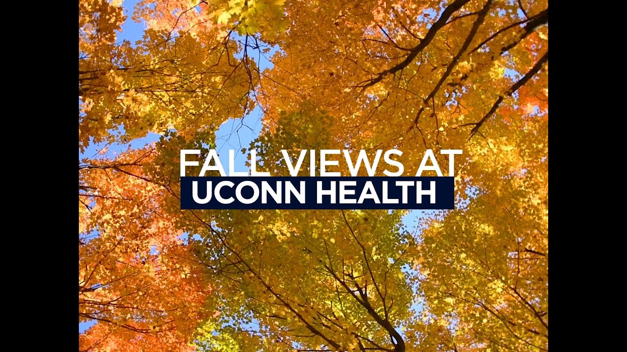 Fall Views at UConn Health - YouTube