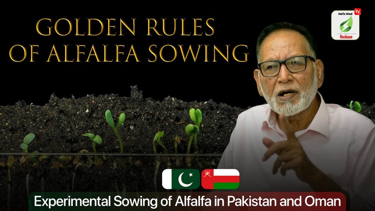 Successful Alfalfa Production in Saline Soils of Pakistan & Oman - YouTube