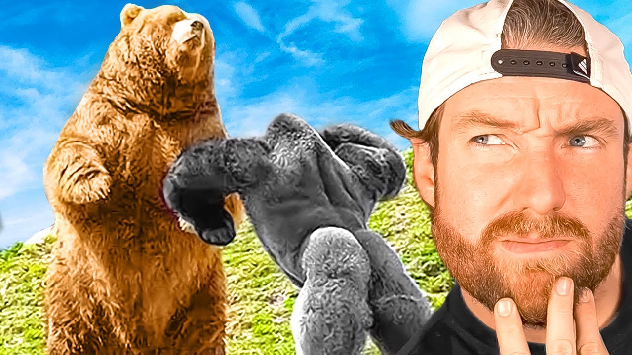 Who Wins A Silverback Gorilla VS Grizzly Bear - YouTube