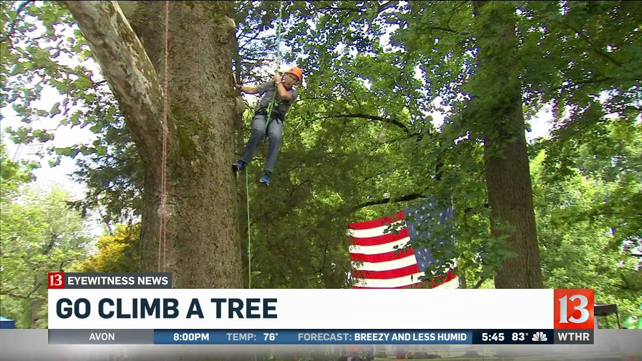 Go Climb a Tree - YouTube