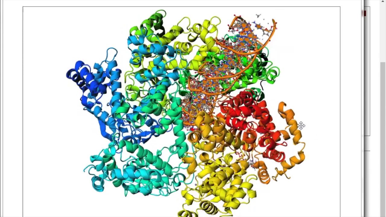 PDB Reader Tutorial 2 - Heterogens and CSML Search (5TCT) - YouTube