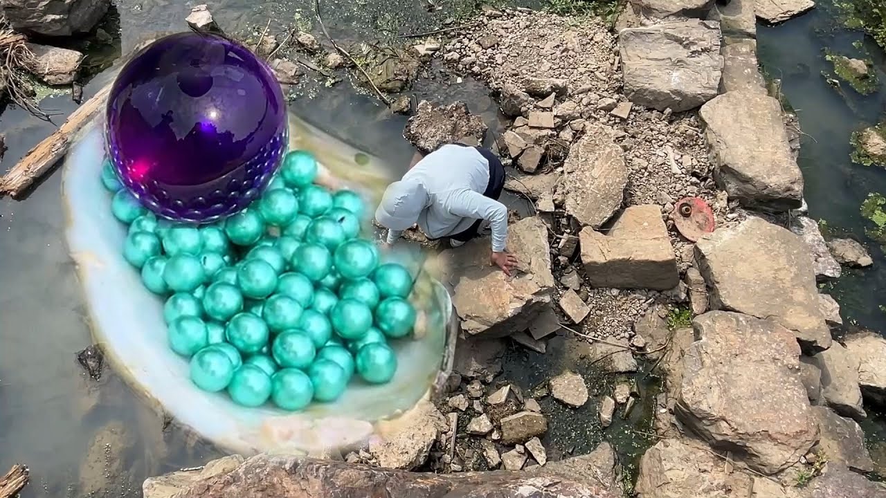 Pearl hunters open pearl oysters to harvest giant purple pearls among ...