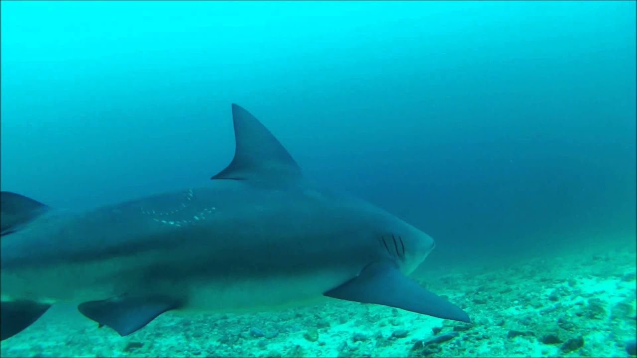 Camping and diving at Bat Islands 2015 with Summer-Salt Dive Center ...