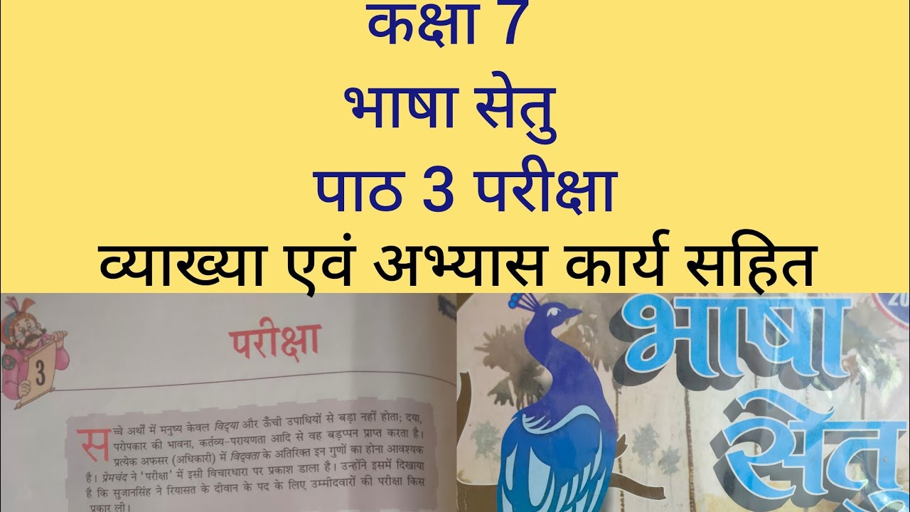 NCERT \CBSE Class 7 Hindi Bhasha Setu Chapter 3 Pariksha With ...