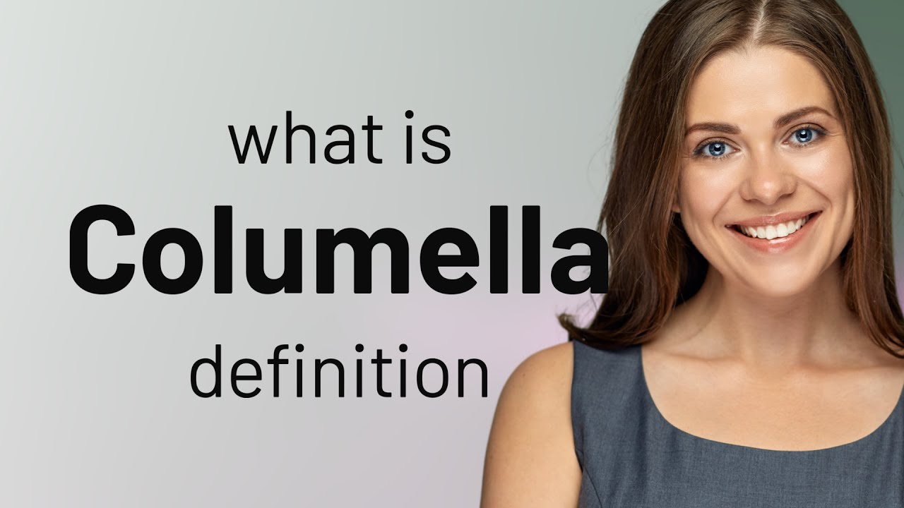 Columella • what is COLUMELLA meaning - YouTube