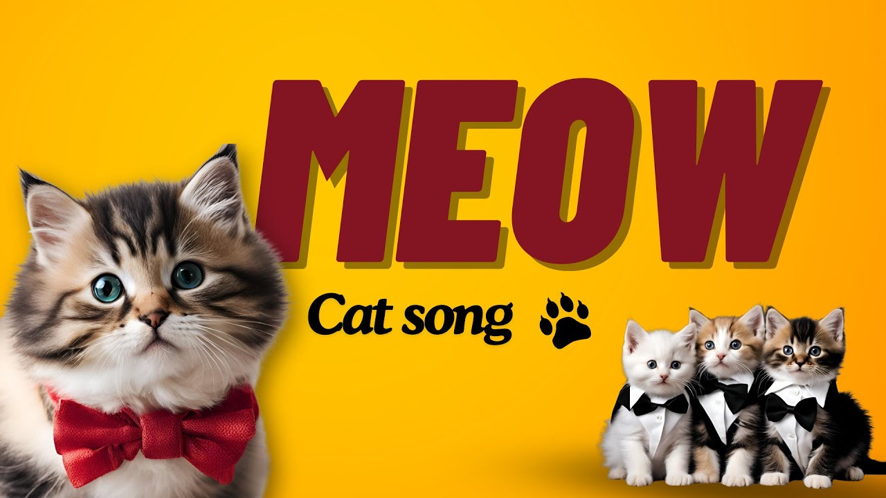 Meow 🐱 The Ultimate Cat Song | Cute AI Singing Cat (Adorable Kittens ...