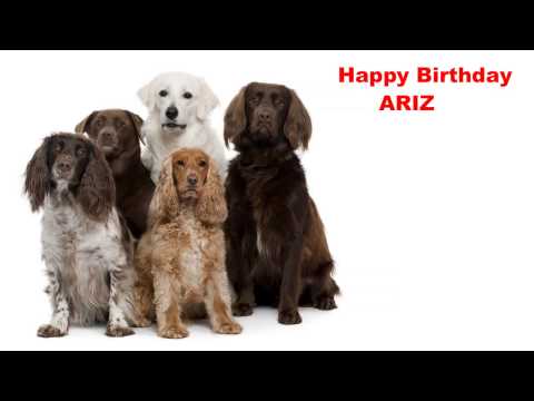 Ariz   Dogs Perros - Happy Birthday