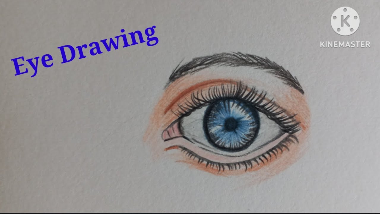 Colour pencil drawing of Eye | Eye Drawing | Easy art | Brustro ...