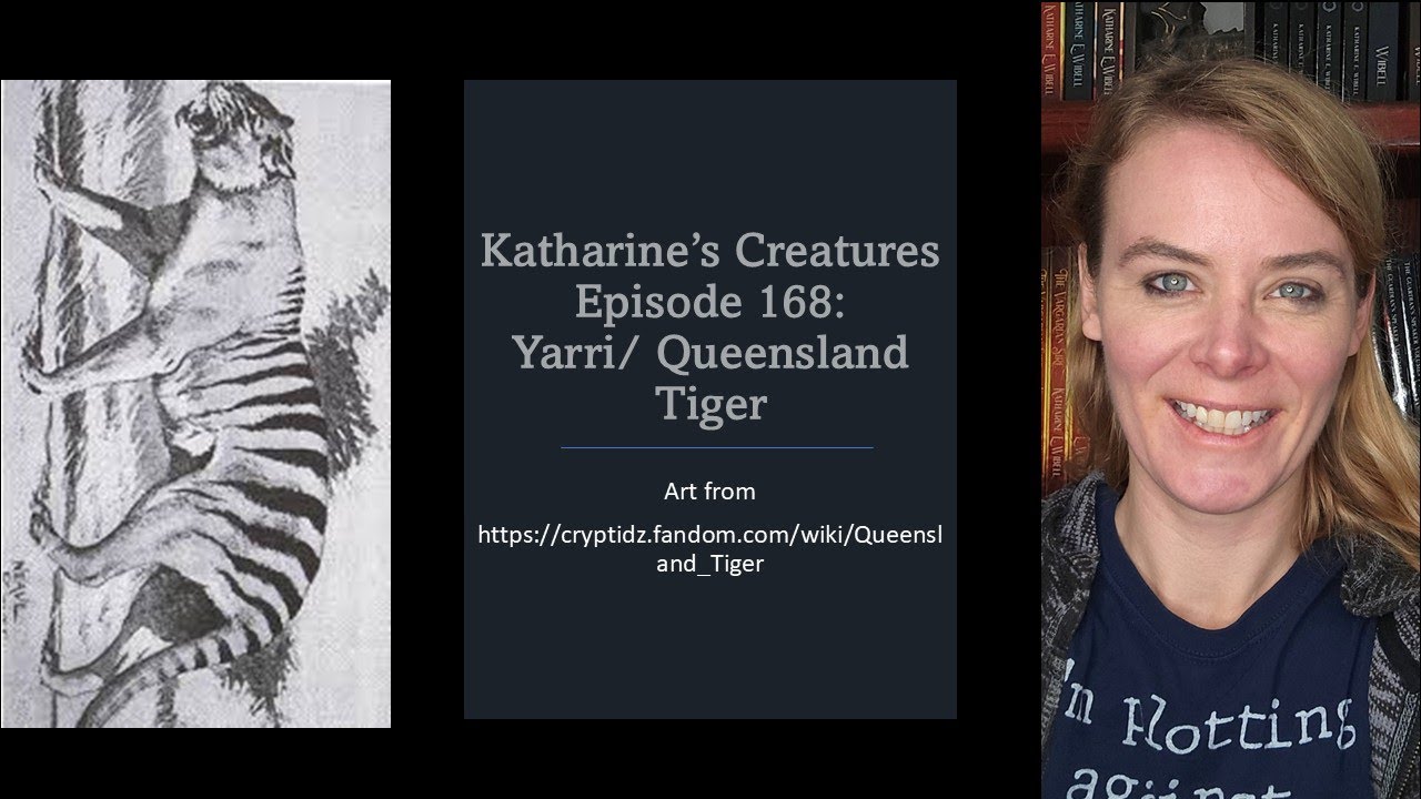Katharine's Creatures Episode 168: Yarri / Queensland Tiger - YouTube