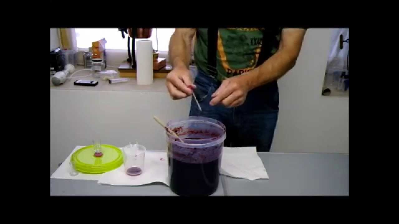 How to use a Vinometer to measure the alcohol volume of the mash. - YouTube