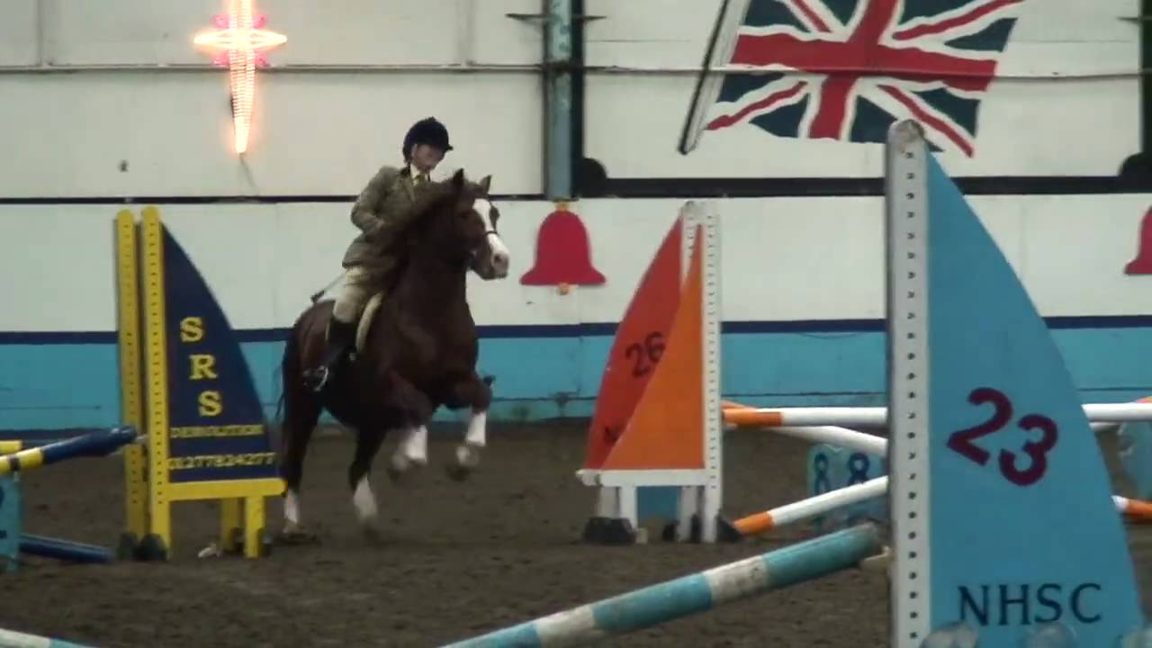 FAST Welsh cob stallion in jump off - YouTube