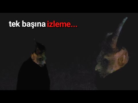 BOYNUZLU CİN PANİĞİ Cin daveti Paranormal olaylar 