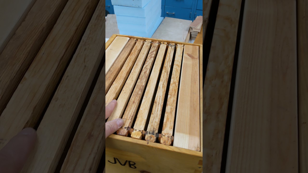 follower board's - YouTube