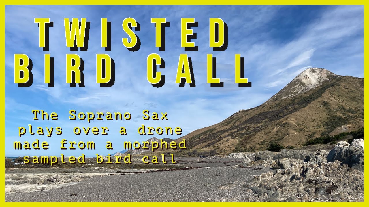 Twisted Bird Call with soprano saxophone - YouTube