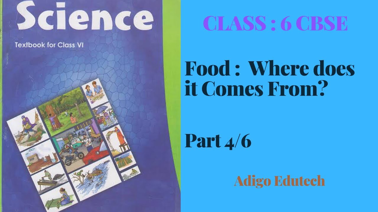 Class 6 Science Chapter 1 Food Where Does It Come From Part 4 6 Class 6 Science Chapter 1 Food Where Does It Come From Part 4 6