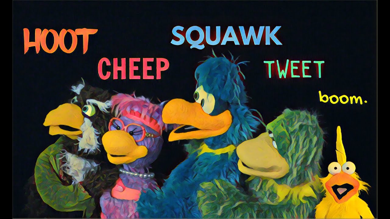 Hoot Cheep Squawk Tweet Boom - YouTube