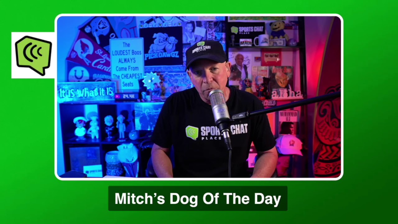 Mitch's Dog of the Day 11/15/20: Free NFL Pick NFL Picks, Predictions ...