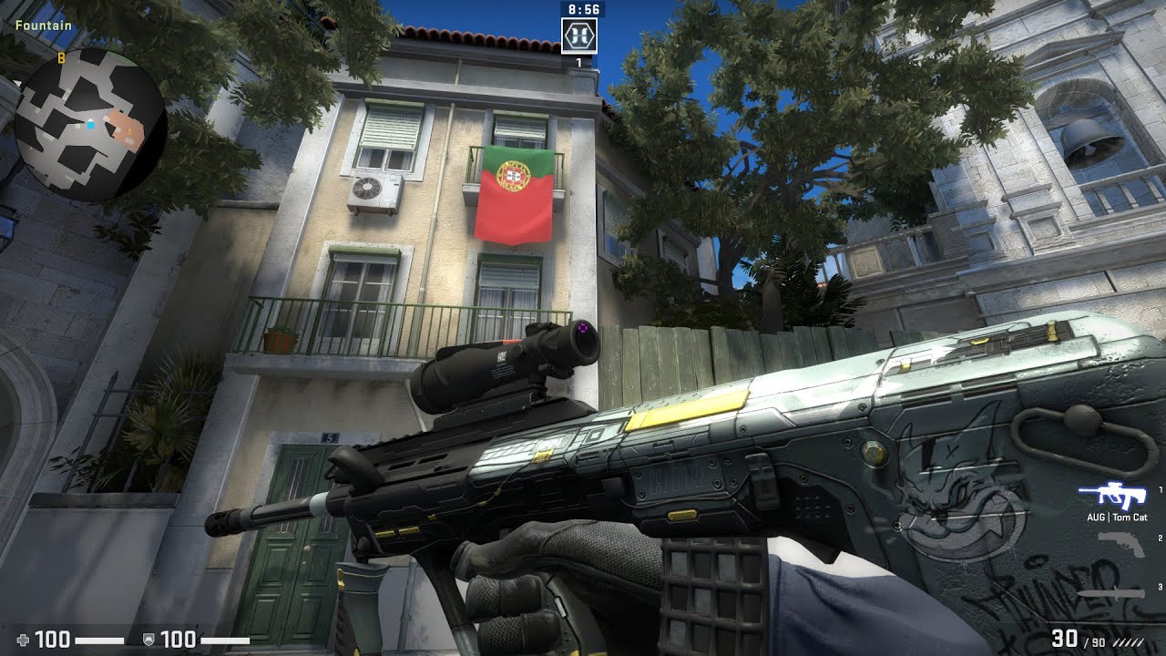 CSGO AUG Tom Cat Field Tested - YouTube