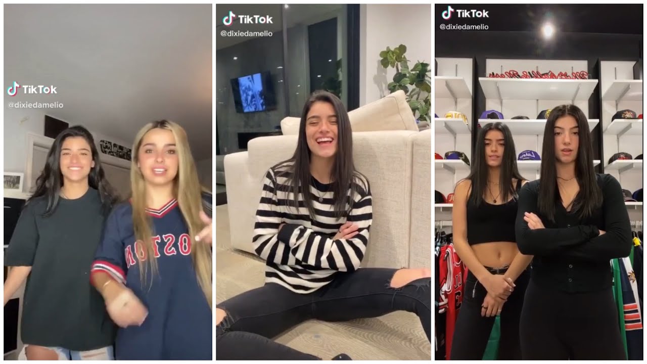 All Dixie D'amelio's January TikToks - YouTube