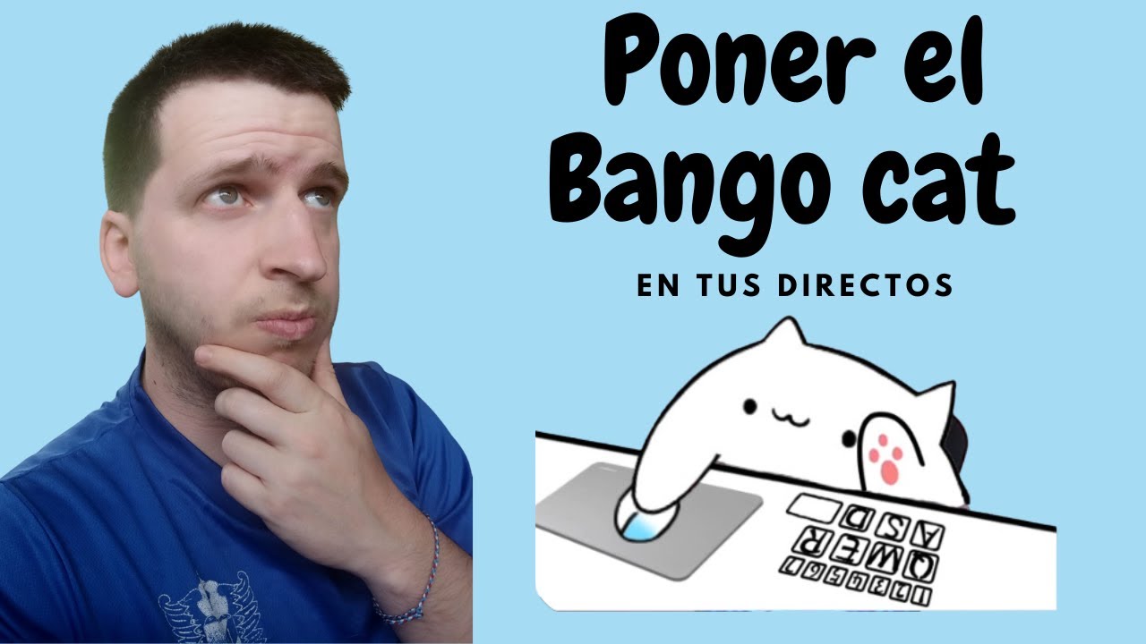 Cómo poner el bongo cat en OBS 😸 - YouTube