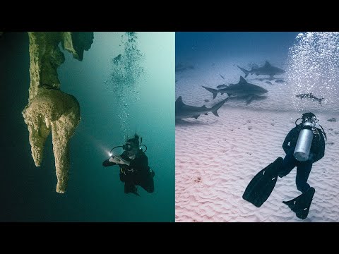 En las profundidades del Caribe: cenotes y tiburones