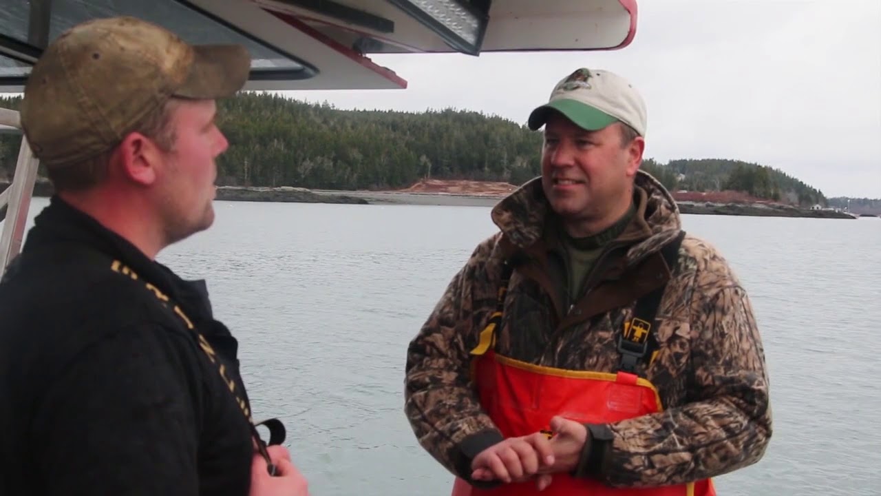 Maine Eider Action (Sea Duck Hunt) Part 3 of 4 - YouTube