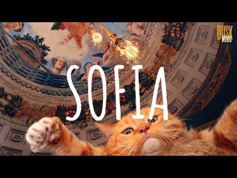 Sofia (remix cute) - DJ Komang Rimex (Vietsub + Lyric)