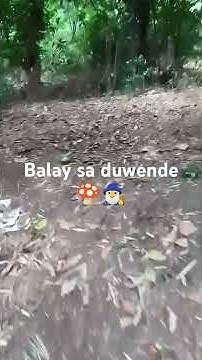 bahay ng duwende🍄🧙‍♂️ - YouTube