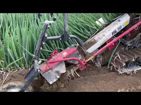 HL10（ネギ収穫機） - YouTube