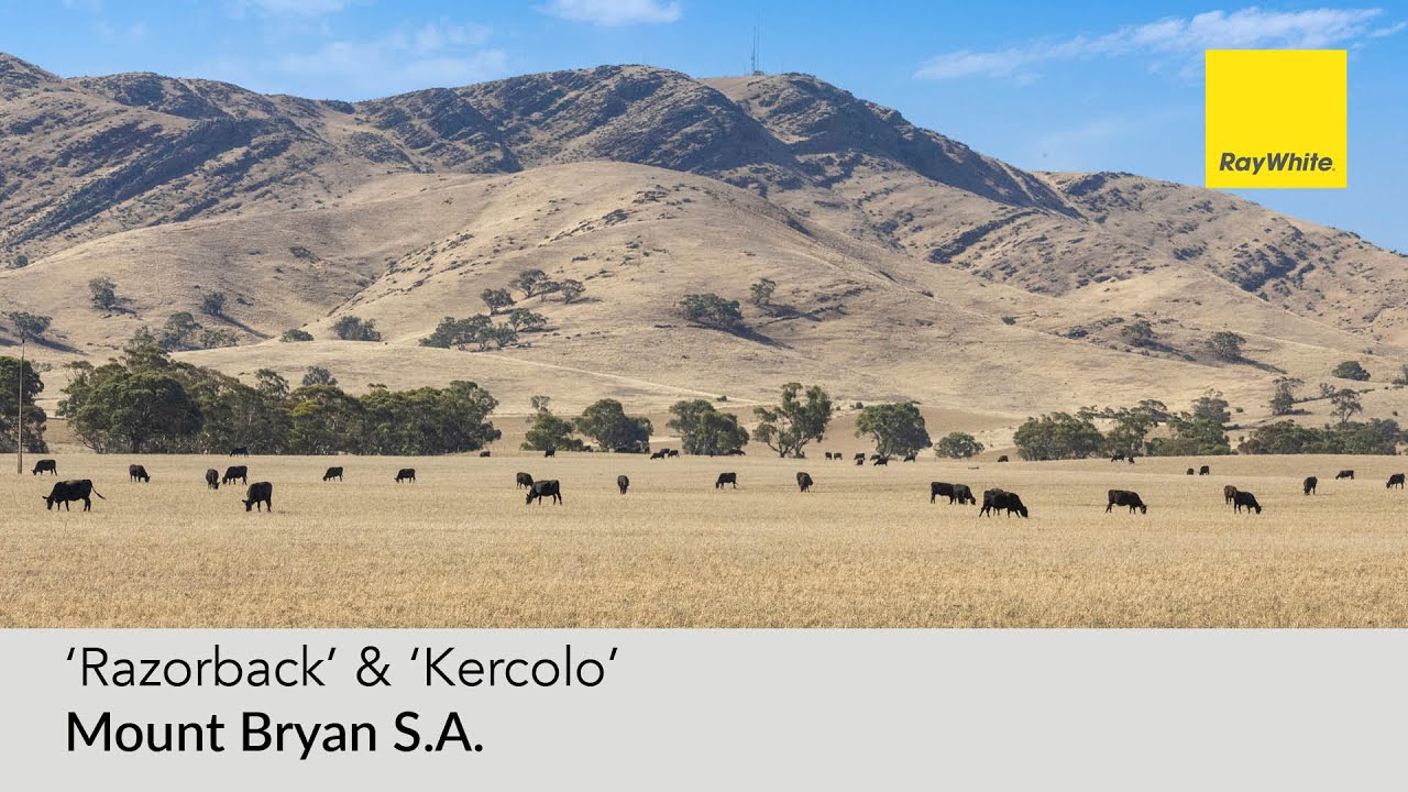 ‘Razorback’ & ‘Kercolo’ 2394 Mount Bryan East Road, Hallett, South ...