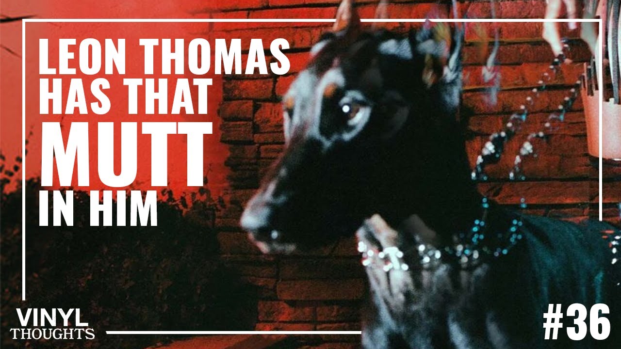 MUTT ALBUM REACTION || Vinyl Thoughts - Episode 36 - YouTube