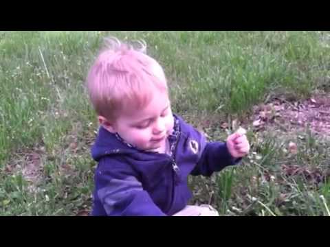 Blowing/spitting on flowers - YouTube