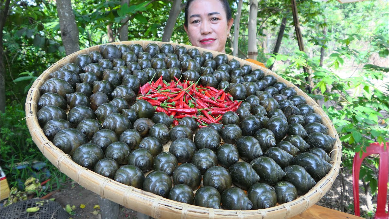 Tasty Snail Cooking Recipe - Snail Cooking - Simple Life Cooking - YouTube
