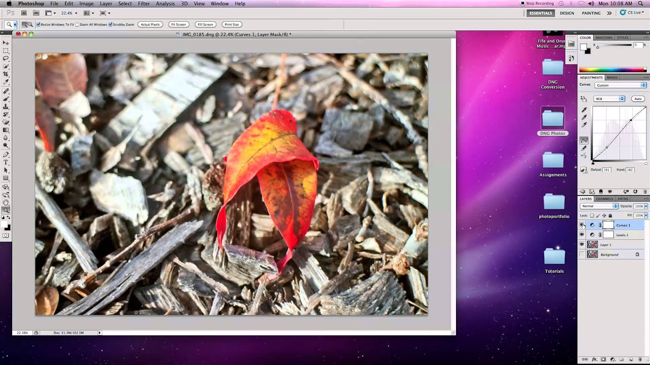 Basic Printing Tutorial - YouTube