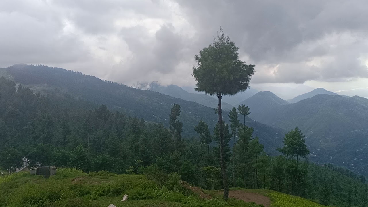 Swat shangla top - YouTube