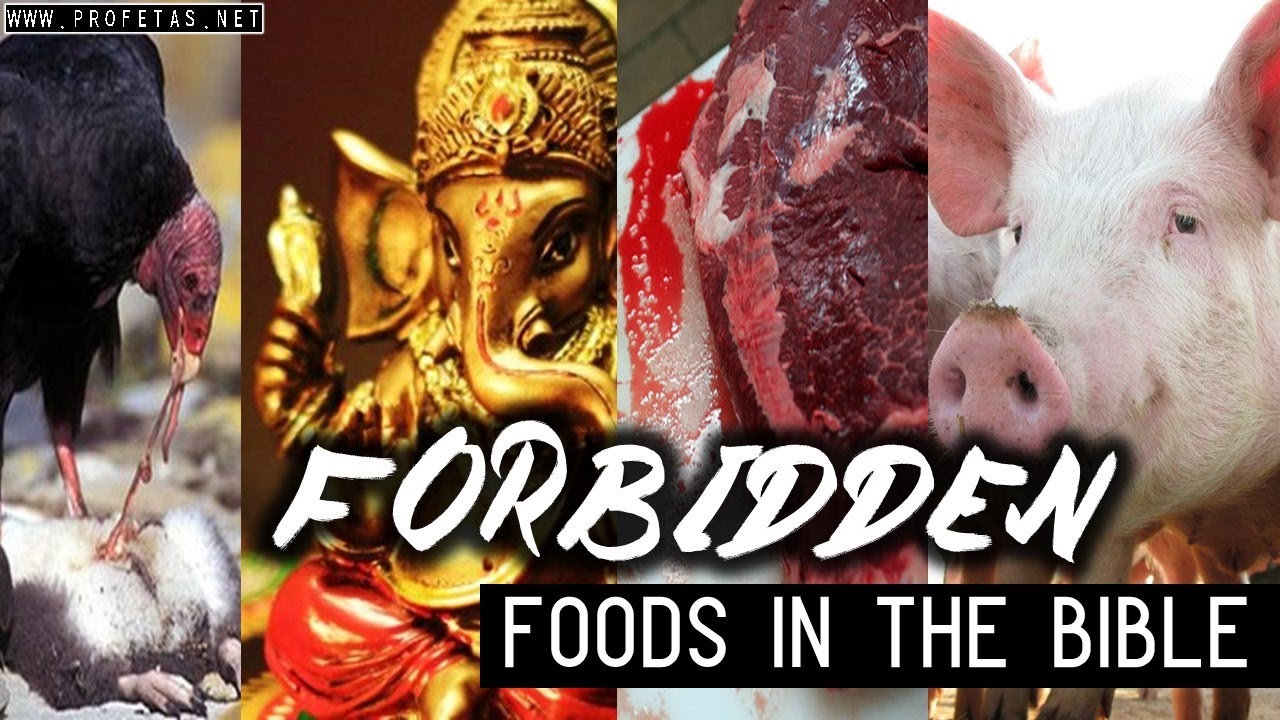Dr Zakir Naik 7518 Forbidden Foods In The Bible YouTube