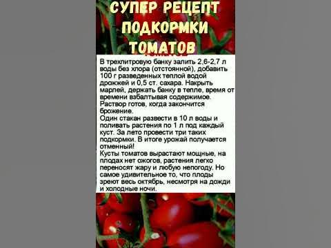 СУПЕР РЕЦЕПТ ПОДКОРМКИ ПОМИДОР#shorts - YouTube