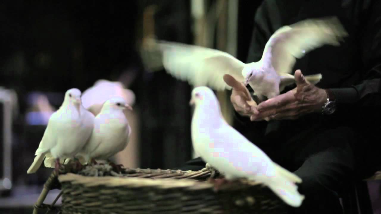 George Fay: The Bird Man of ENO - YouTube