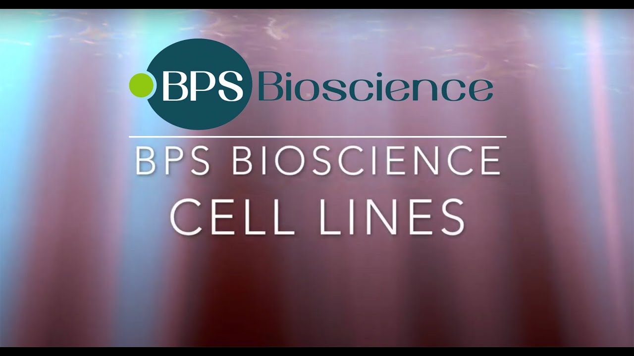 BPS Bioscience Cell Lines - YouTube