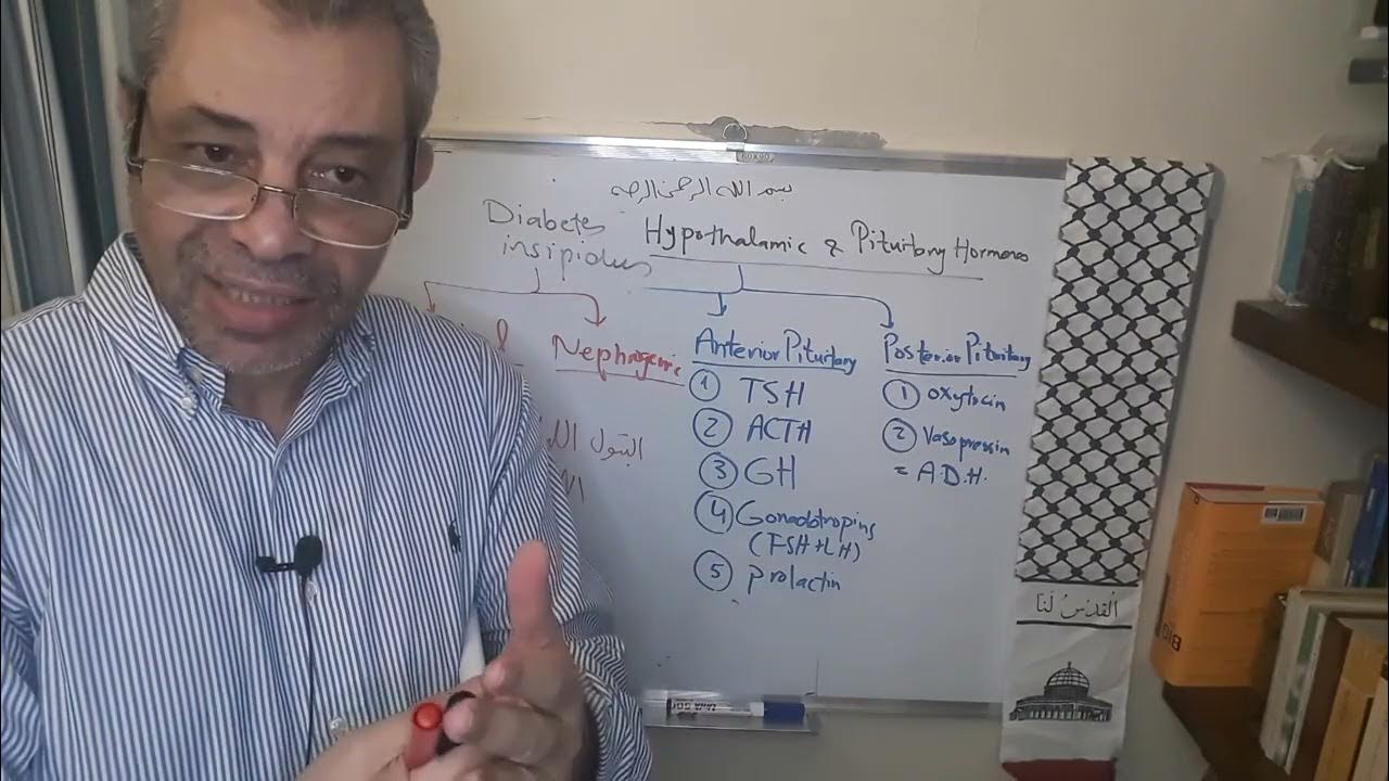 Module 310 - Lecture 13 - Part 2: Hypothalamic and pituitary hormones (postponed*). - YouTube