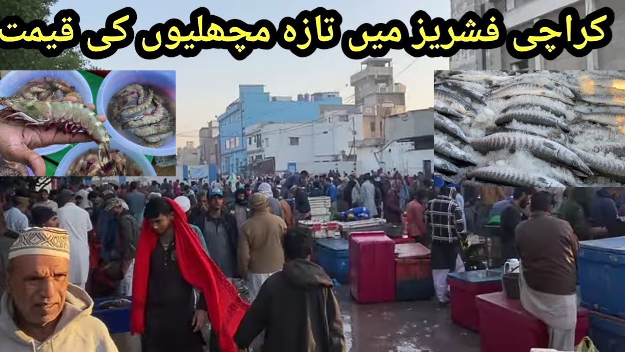 Karachi Fish Market Price Update 2025 Fish Price Wholesale Fish Market ...