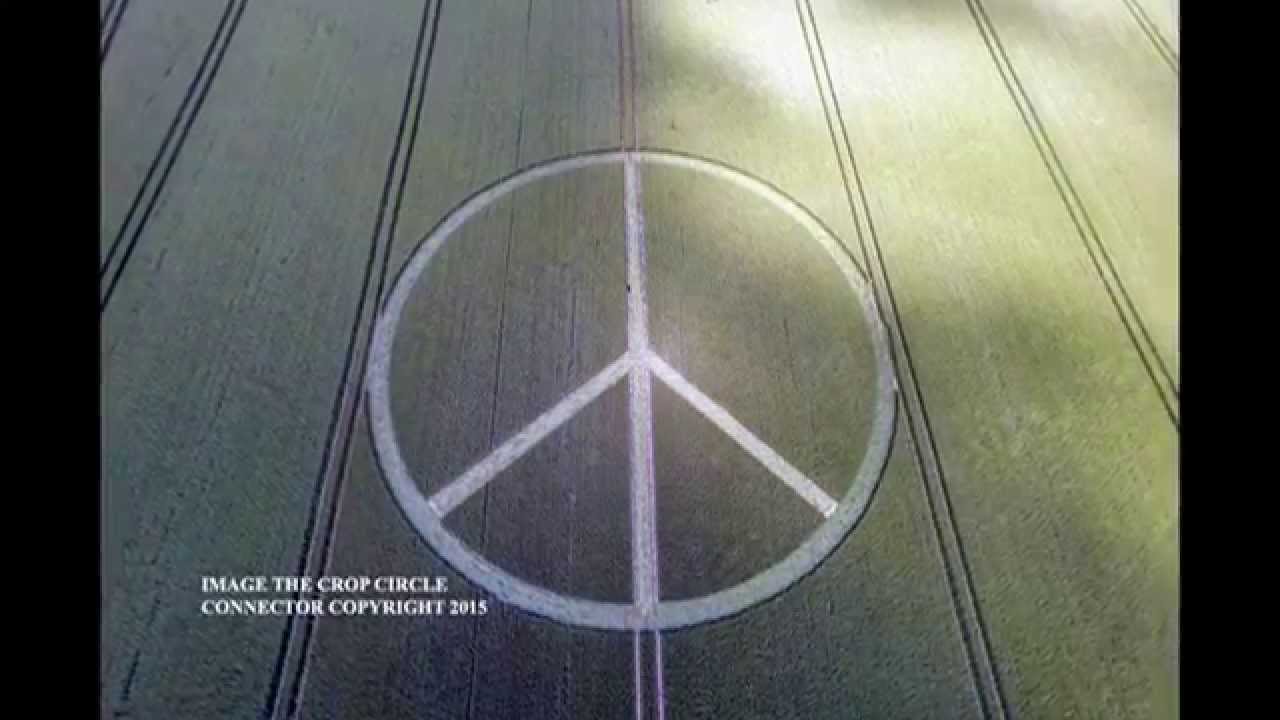 Peace sign crop circle 2015: Devizes Road, Nr Stanton St Bernard ...