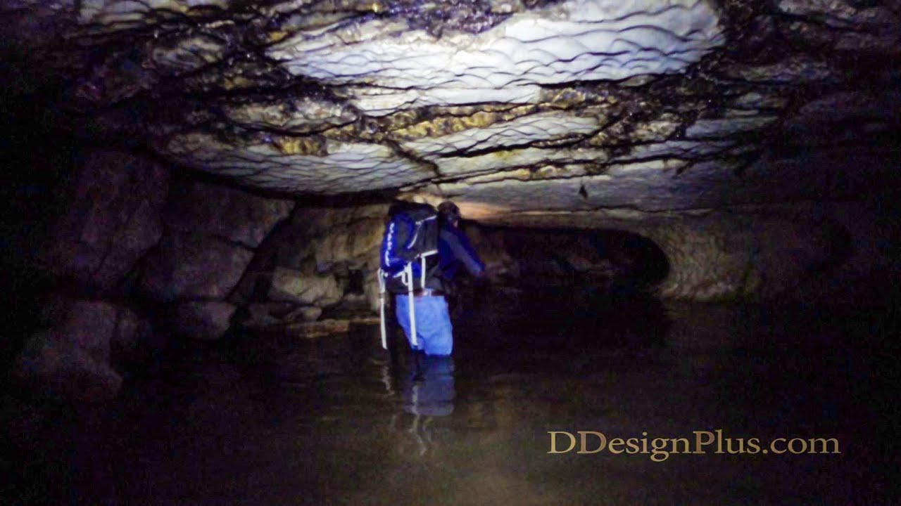 Waipu Caves Exploration - New Zealand - YouTube