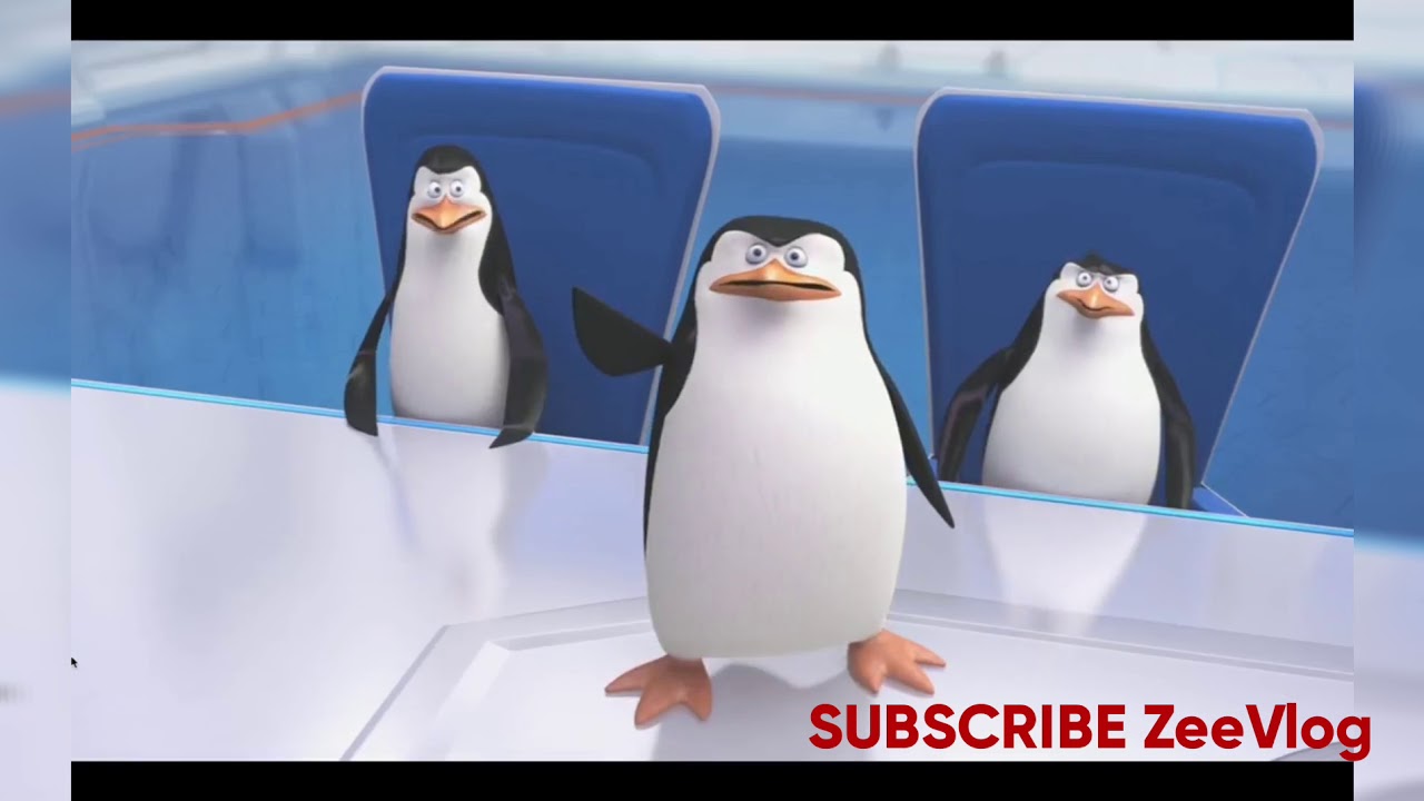 Funny Online Meetings Fail 🤣 / video conferencing fail scene - YouTube